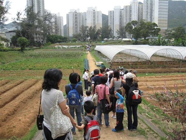 New Life Farm | Watchdog Early Education Centre